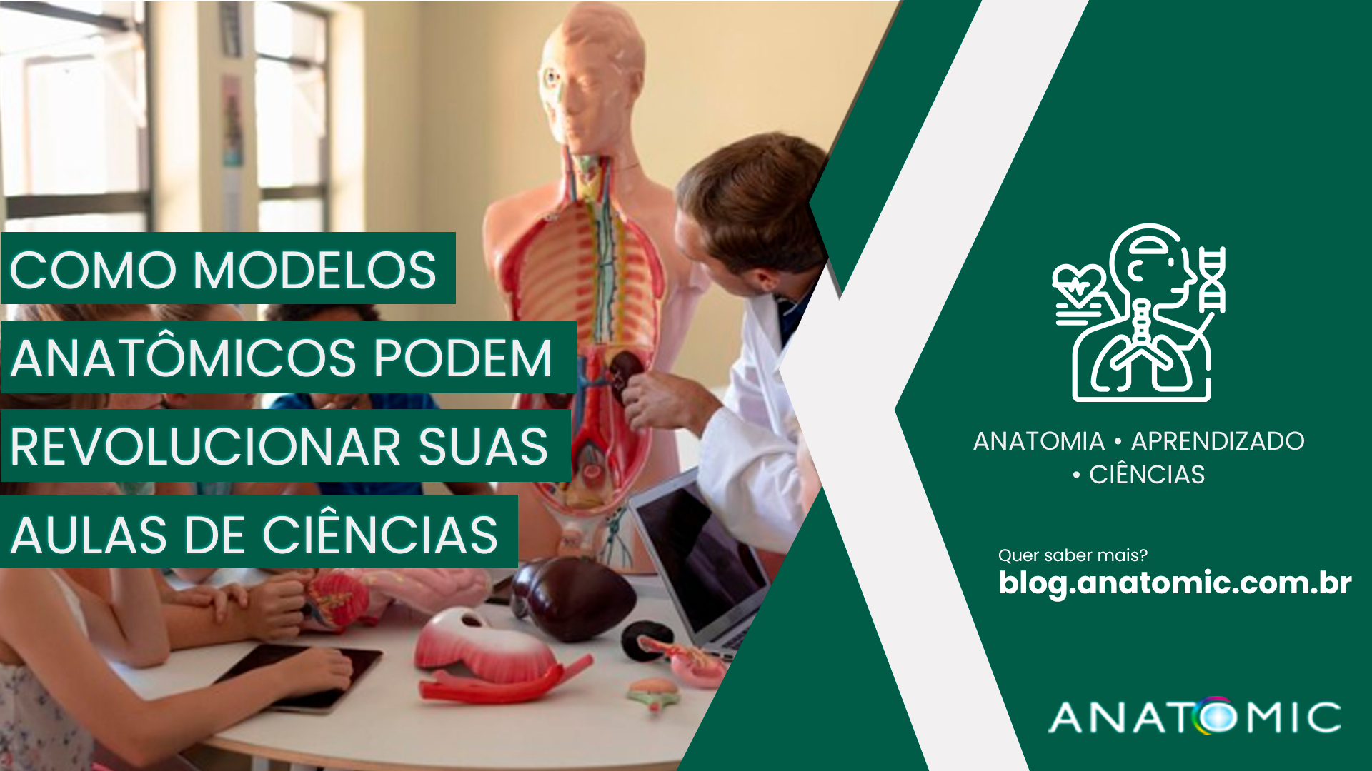 Como Modelos Anatômicos Podem Revolucionar Suas Aulas de Ciências ...