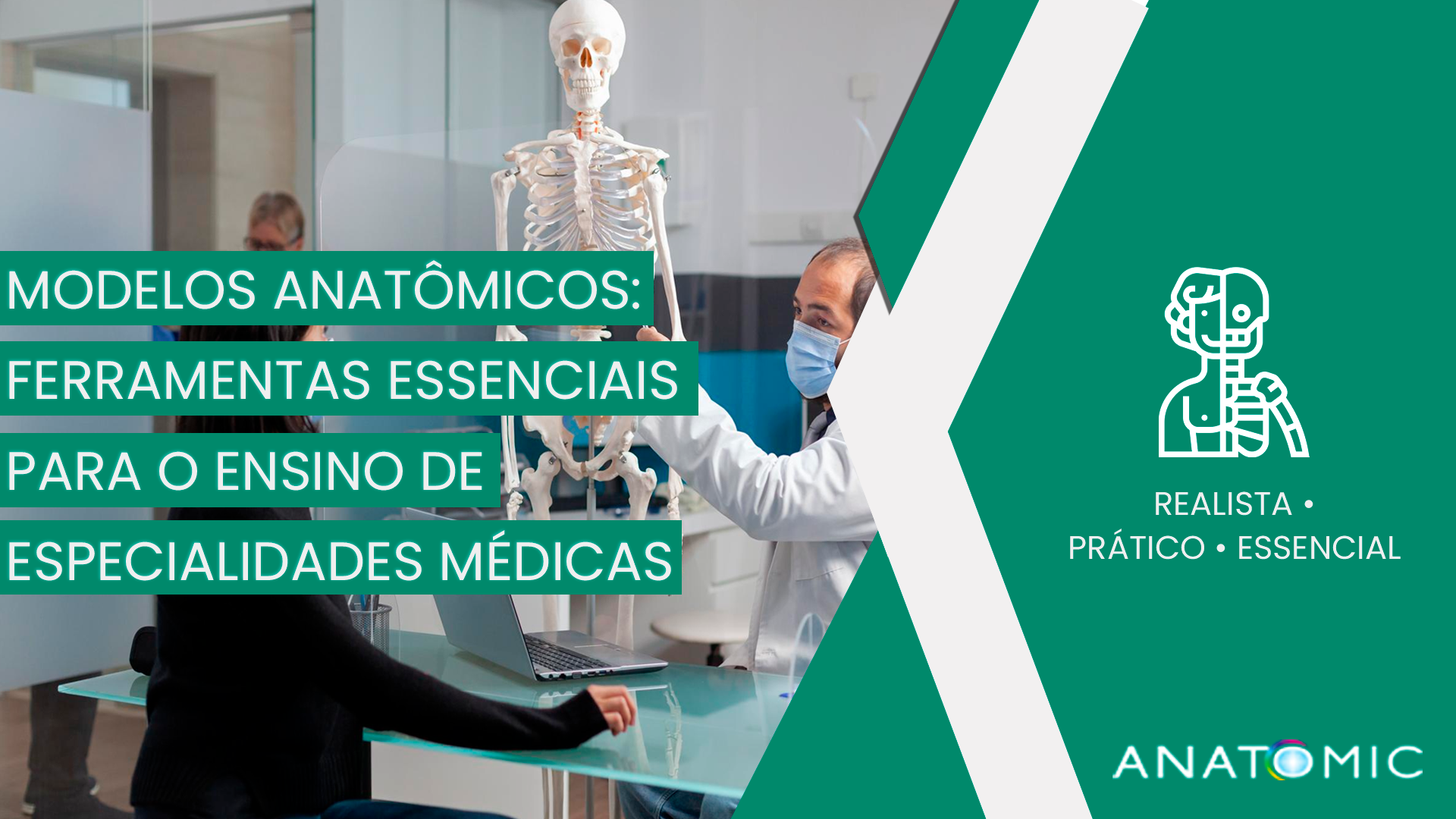 Modelos Anatômicos: Ferramentas Essenciais para o Ensino de ...