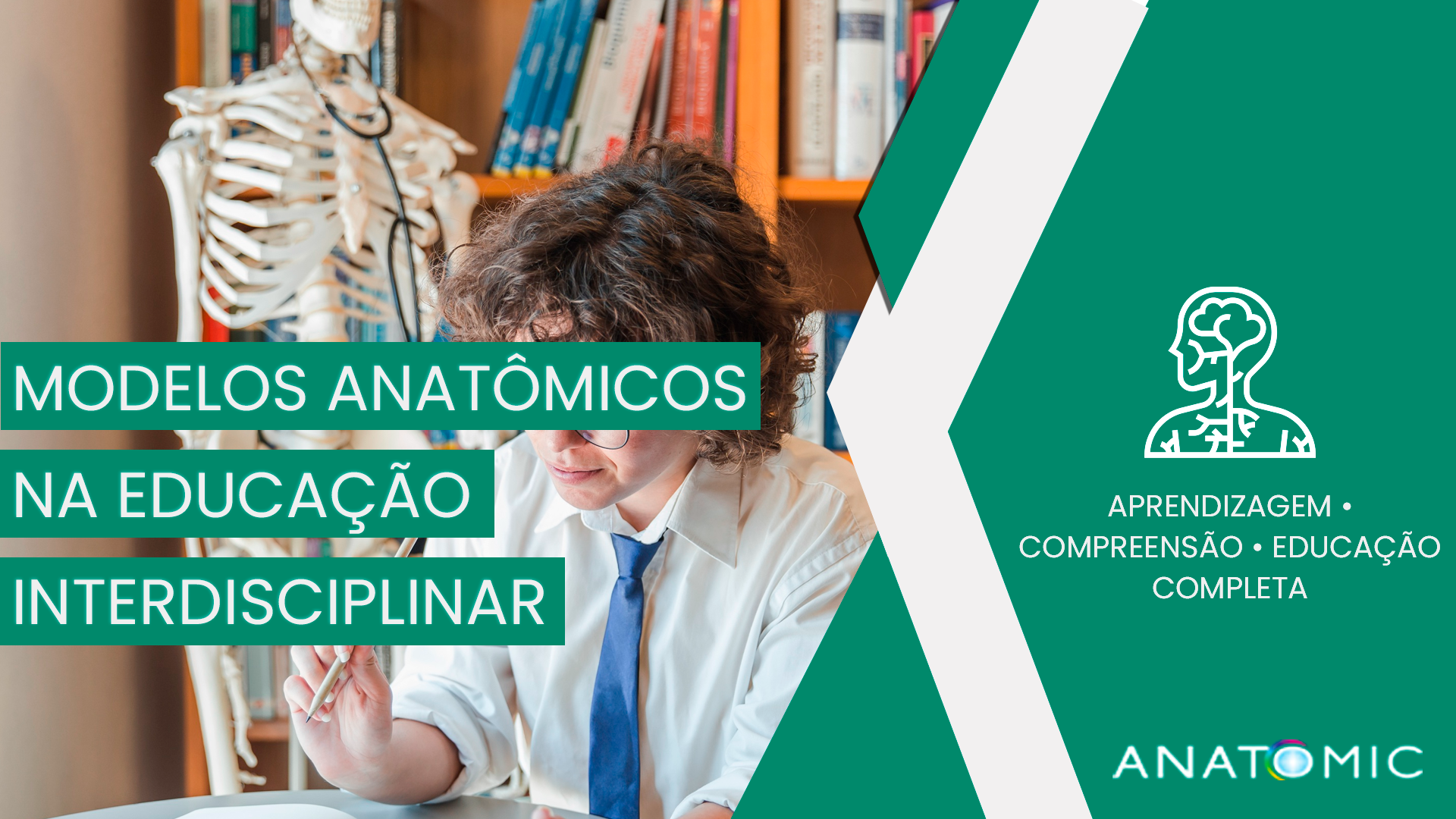 Modelos Anatômicos na Educação Interdisciplinar - Anatomic - Produtos ...