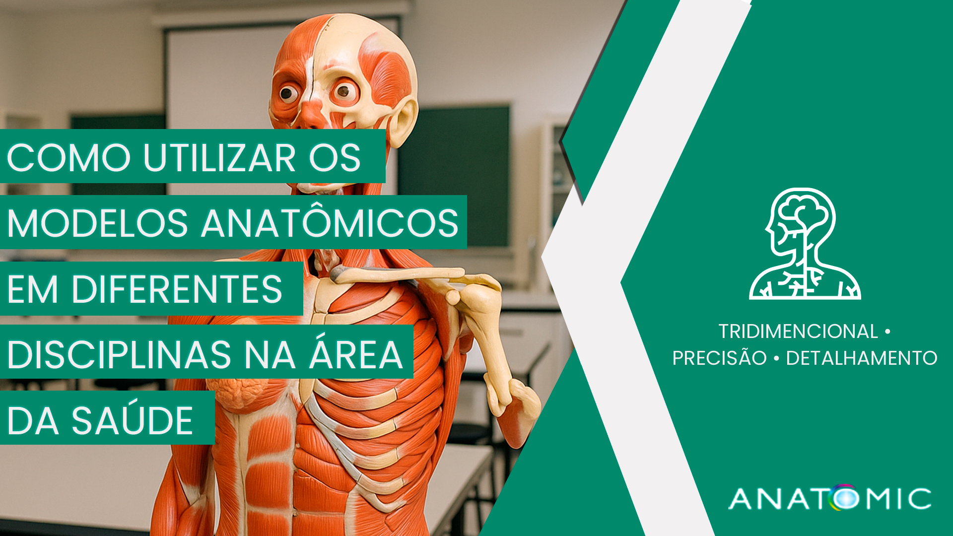 Como Utilizar Modelos Anatômicos em Diferentes Disciplinas na Área da ...
